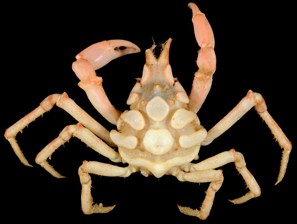 Dr. Lee Bee Yan – St John's Island National Marine Laboratory