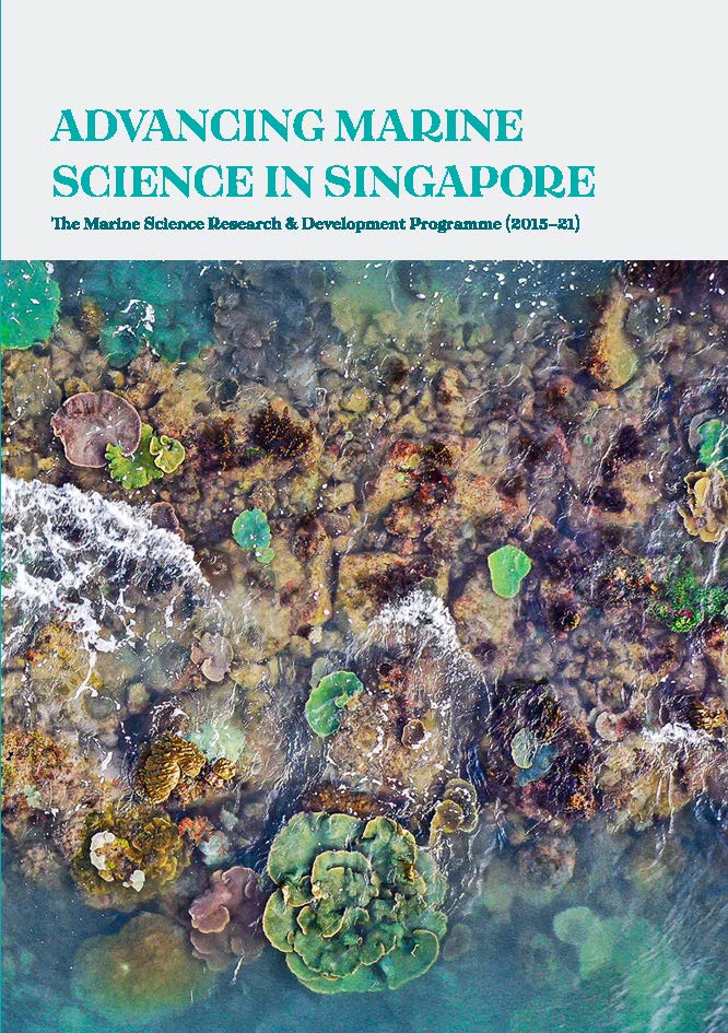 Marine Science Research in Singapore – St John's Island National Marine ...